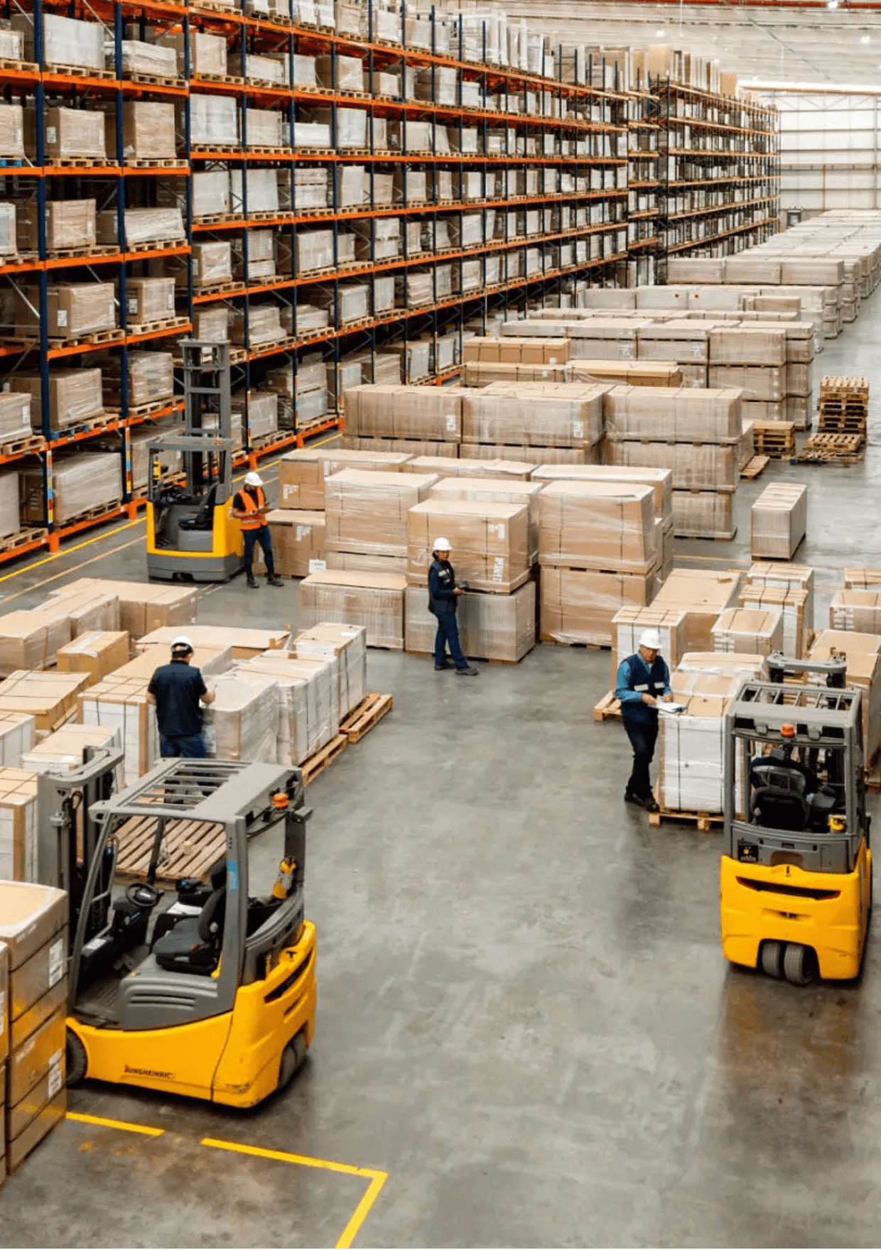 Background Checks | OHS Health & Safety Services